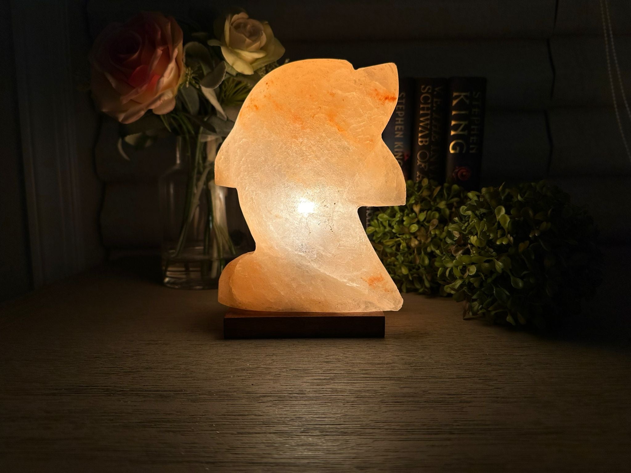 Himalayan Salt Dolphin Lamp – Q & A Himalayan Salt